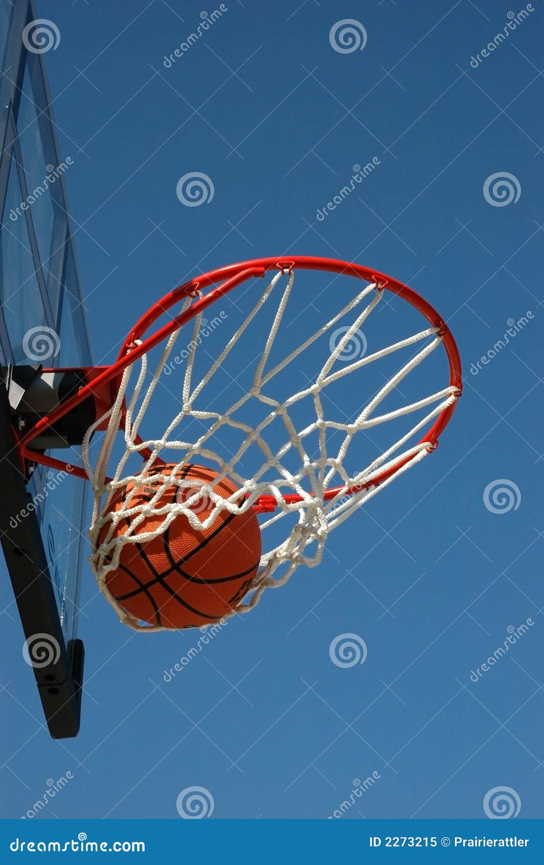 Swish... Nothing but Net! stock image. Image of ball, basket - 2273215