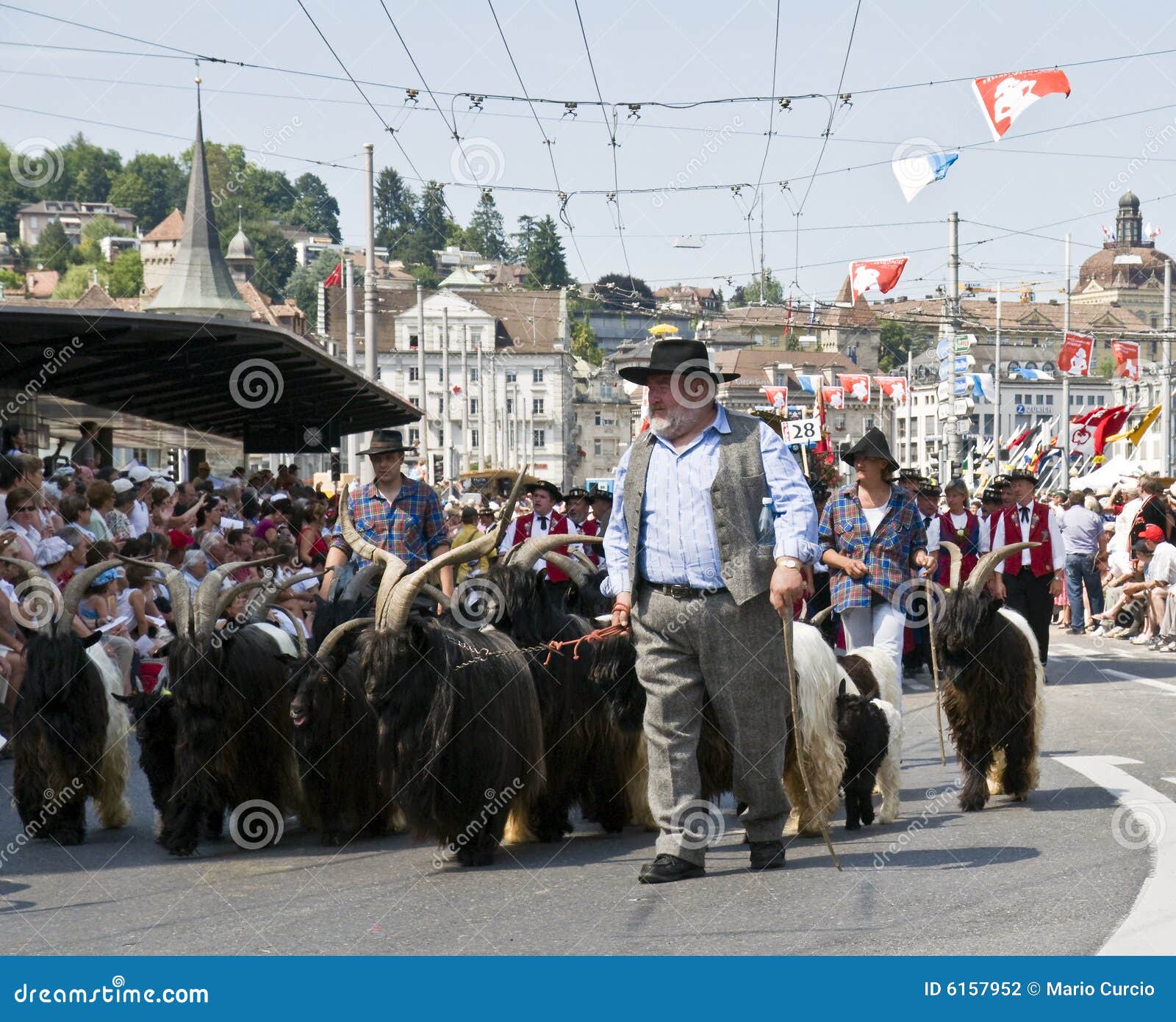 Swiss Alpine Shepherds with a Ibex Herd Editorial Photography - Image ...