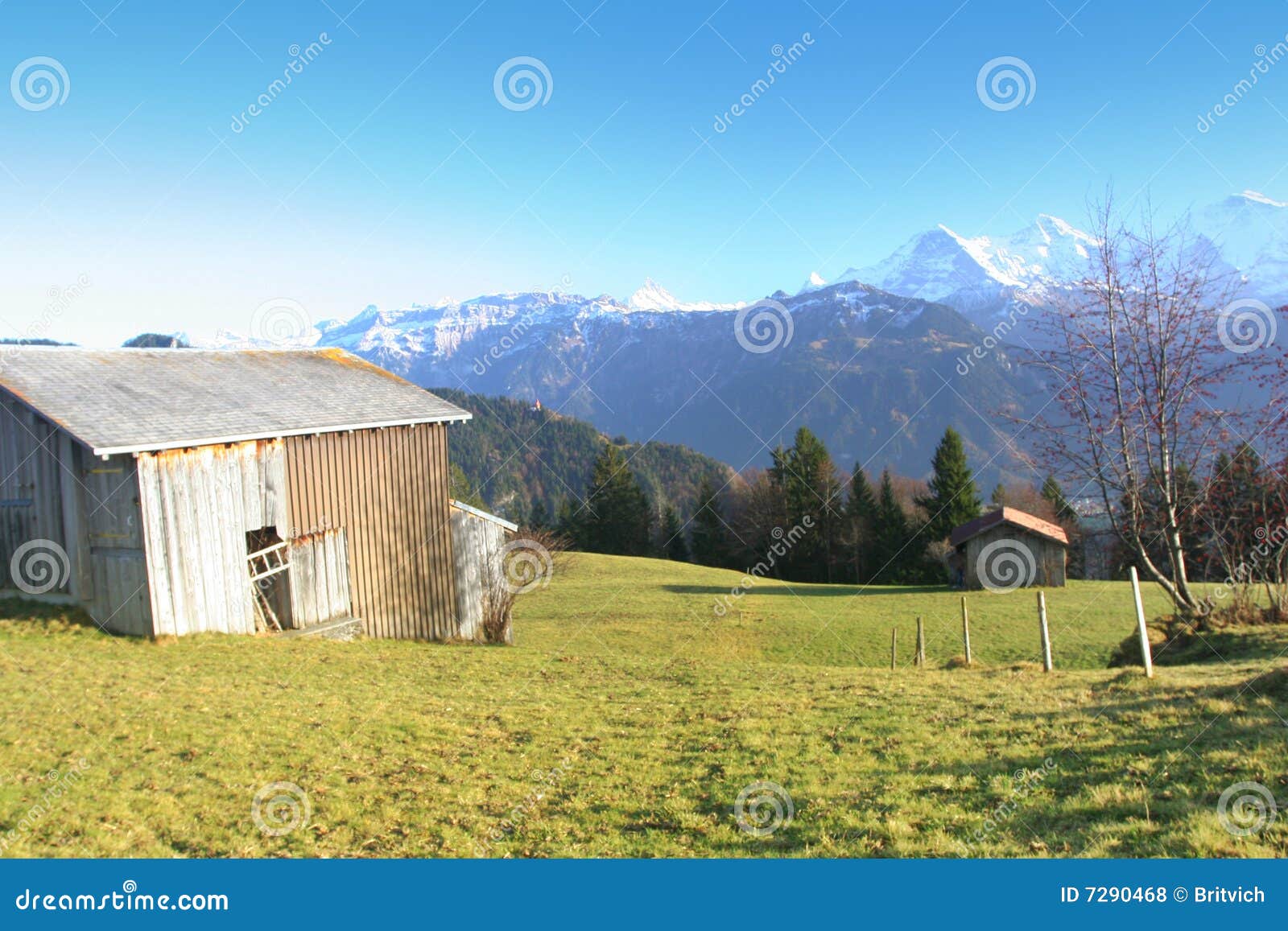 Swiss Alpine view stock photo. Image of frost, nature - 7290468