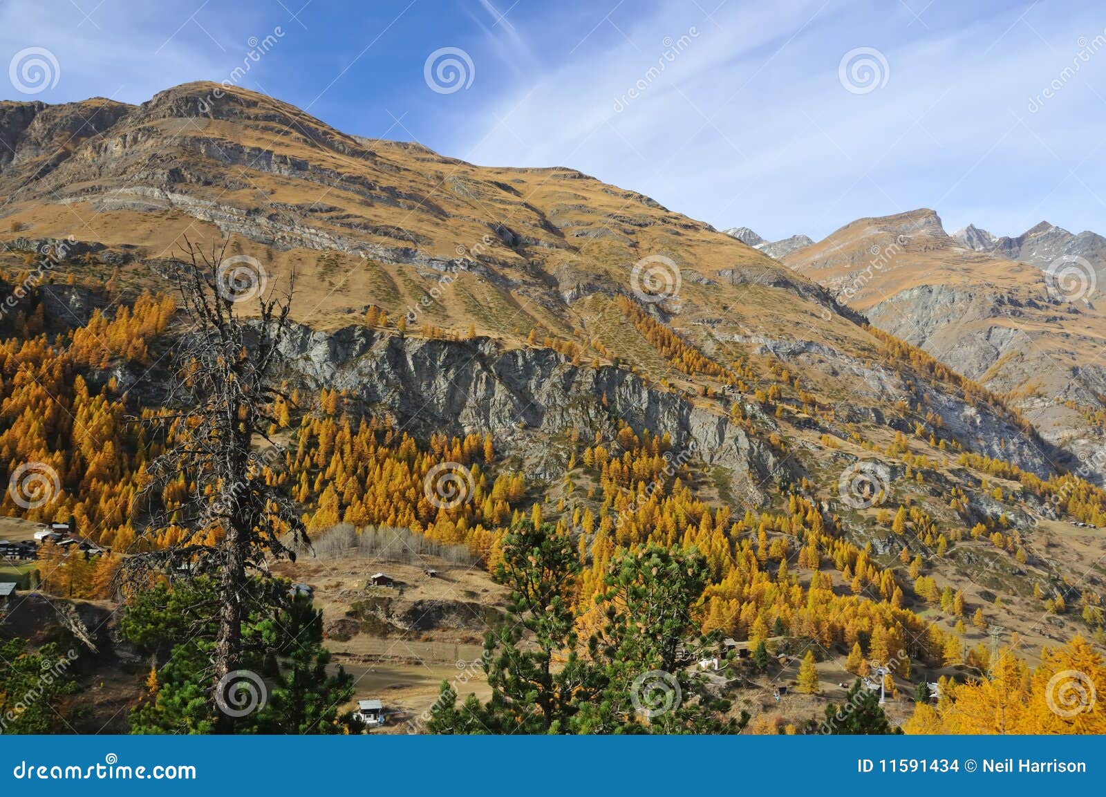 Swiss alps in the fall stock photo. Image of autumn, alps - 11591434