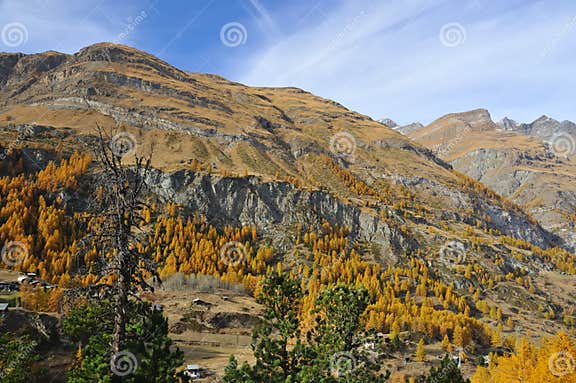 Swiss alps in the fall stock photo. Image of autumn, alps - 11591434