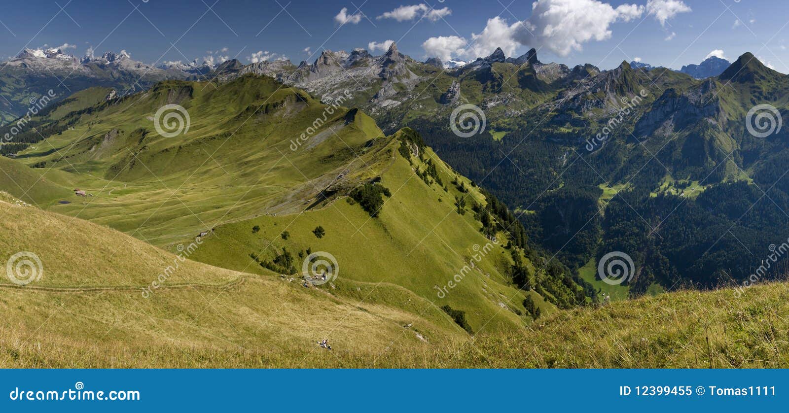 Swiss Alps - Green Valley - Panoramic View Stock Image - Image of ...