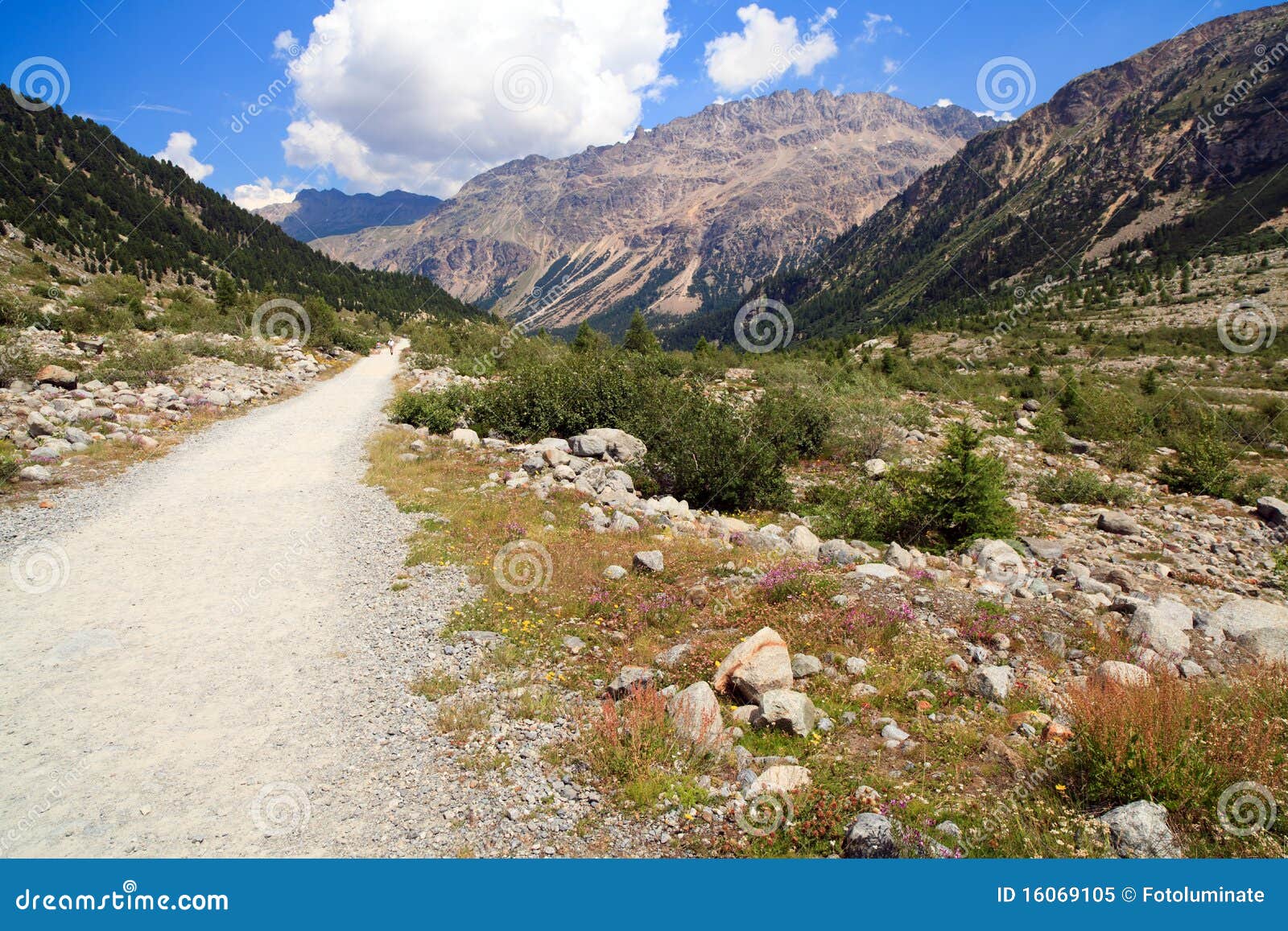 Swiss Alps Nature Trail stock image. Image of morteratsch - 16069105