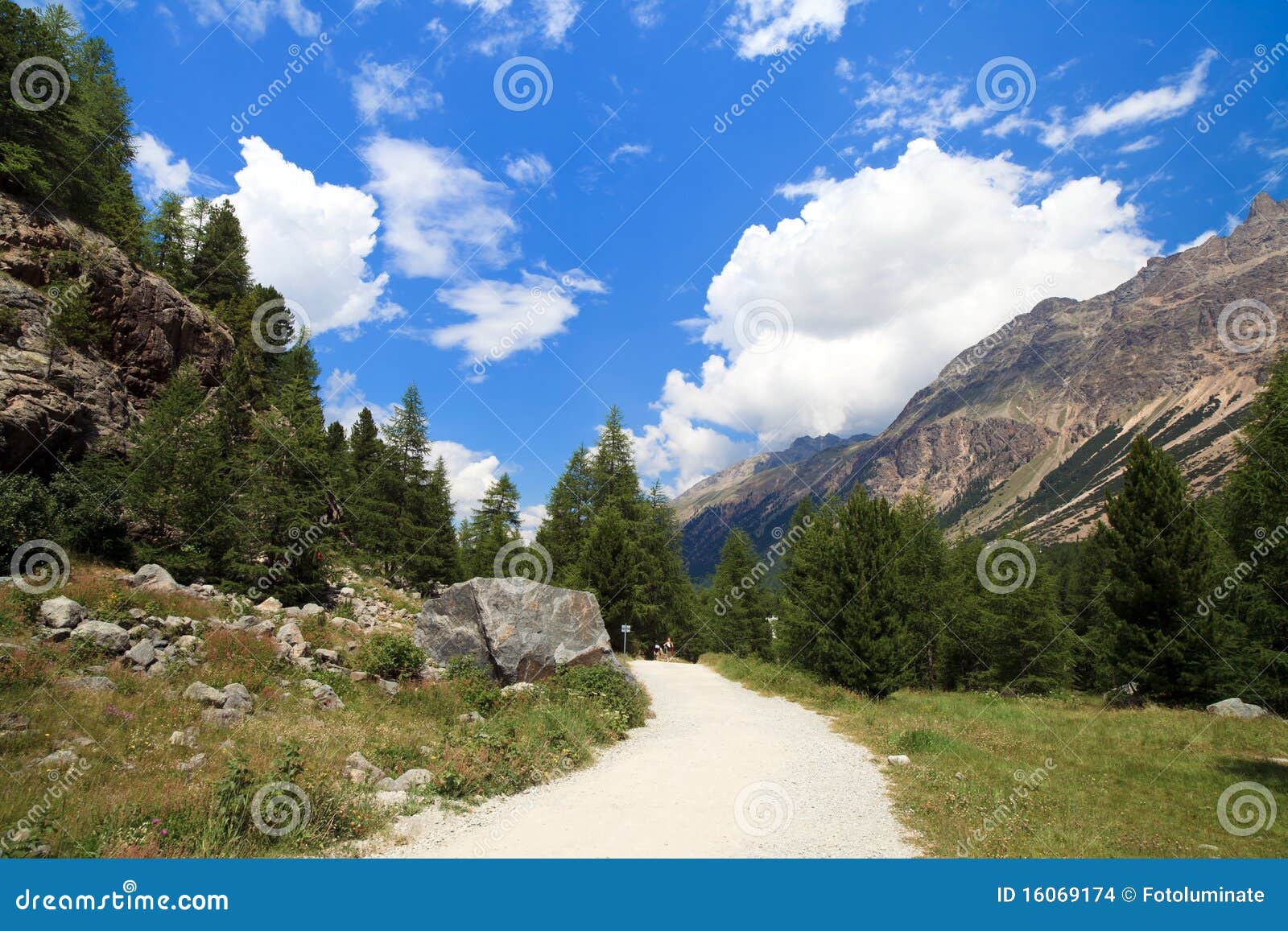 Swiss Alps Nature Trail stock photo. Image of forrest - 16069174