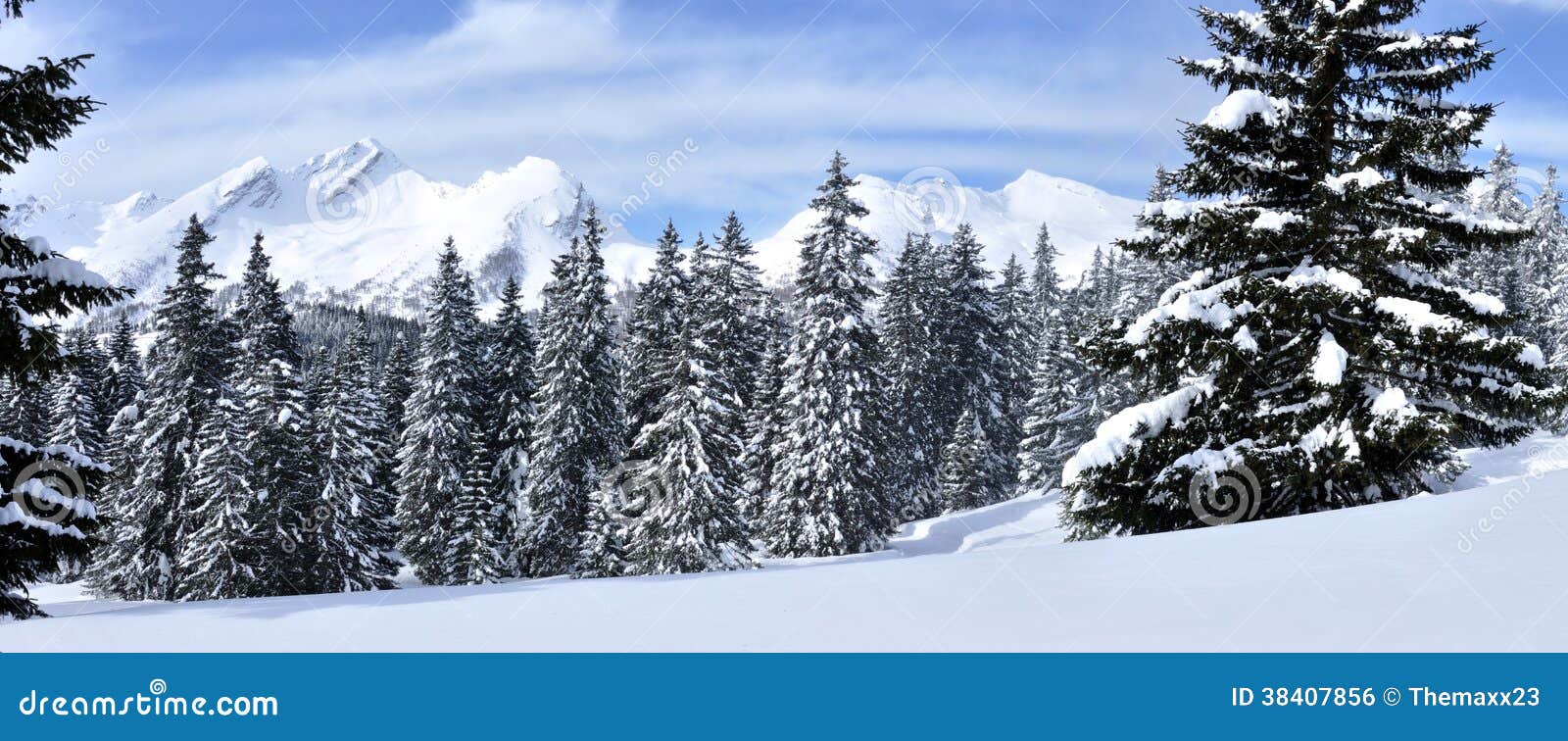 Swiss alps panorama 1b stock photo. Image of snow, trees - 38407856