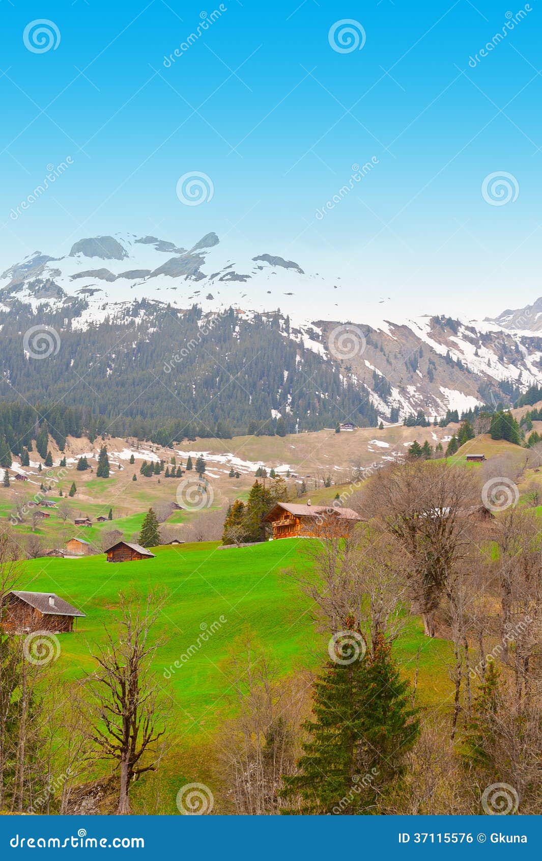 Swiss Alps stock photo. Image of farm, haze, house, grass - 37115576