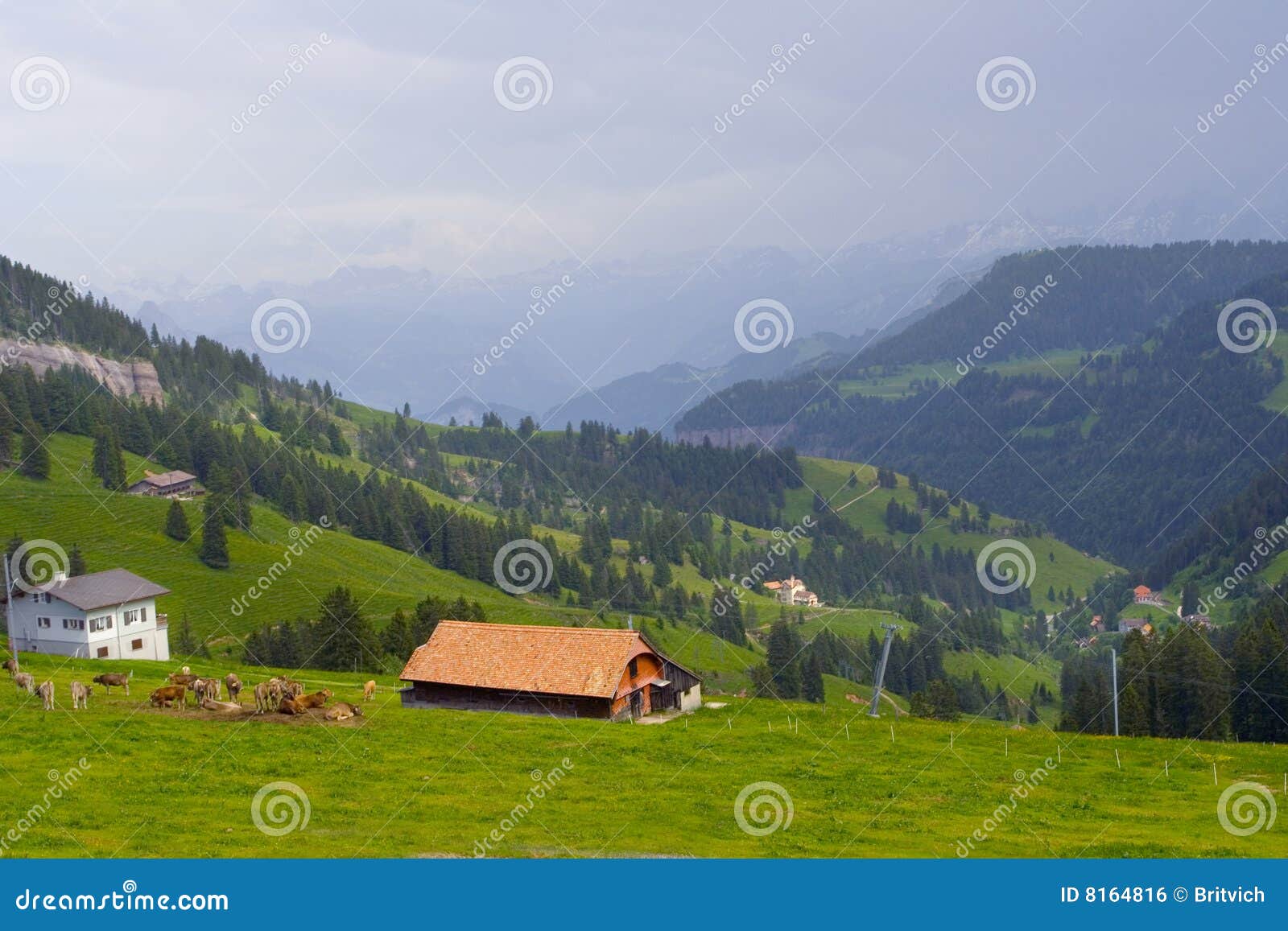 Swiss Alps In Summer Picture. Image: 8164816