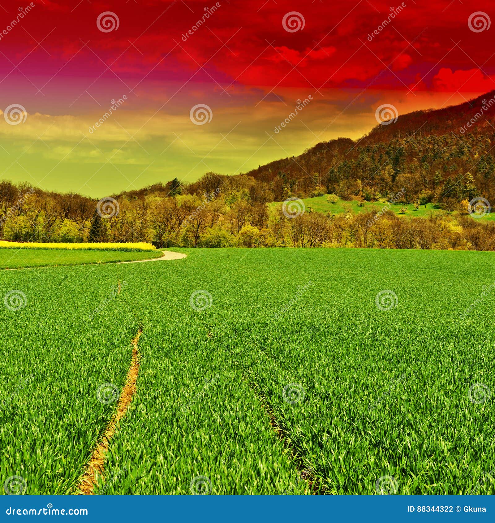 Swiss Alps at Sunset stock photo. Image of crop, farming - 88344322