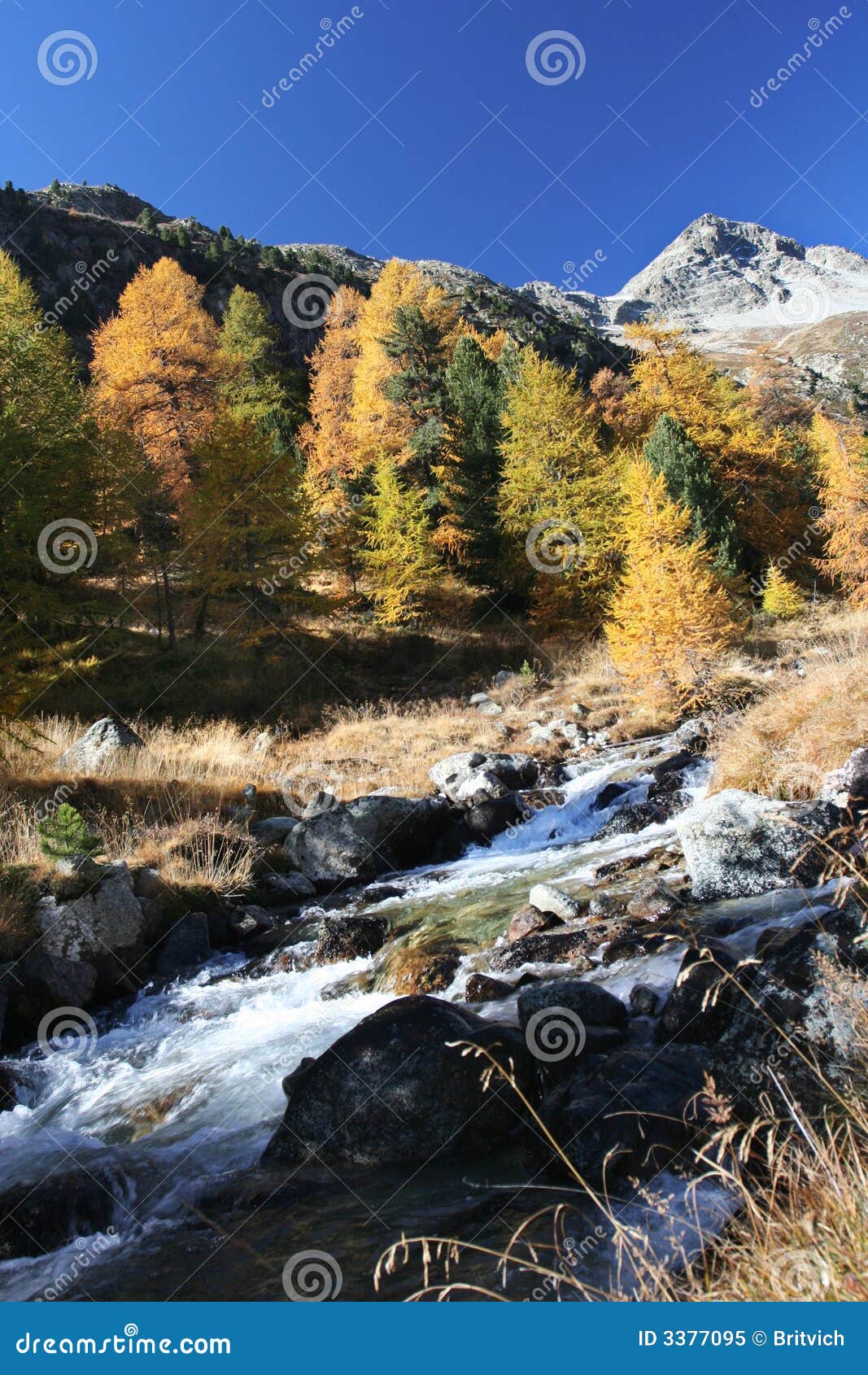 Swiss autumn river stock image. Image of golden, blaze - 3377095
