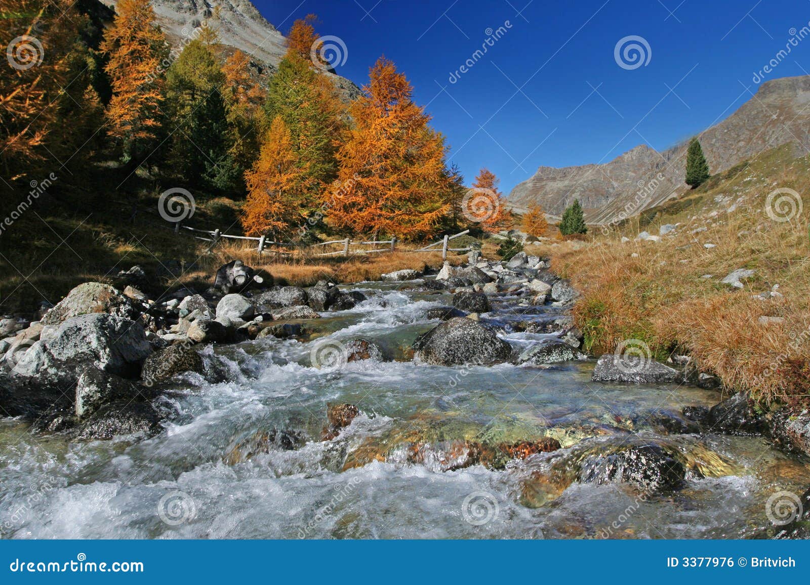 Swiss autumn river stock photo. Image of alps, earth, cycle - 3377976