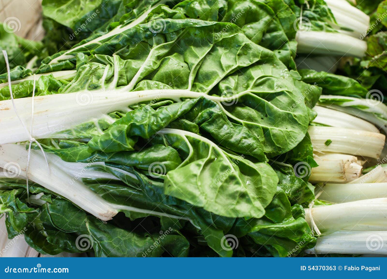 Swiss Chard Bunch Raw and Fresh Stock Image - Image of shop, fresh ...