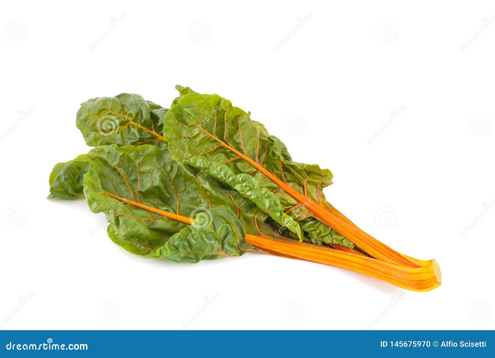 Swiss chard stock photo. Image of background, beet, perpetual - 145675970