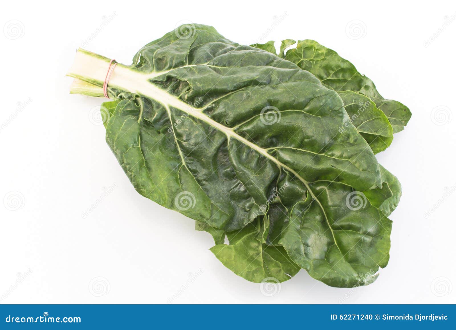 Swiss Chard Isolated on White Stock Photo - Image of natural, minerals ...