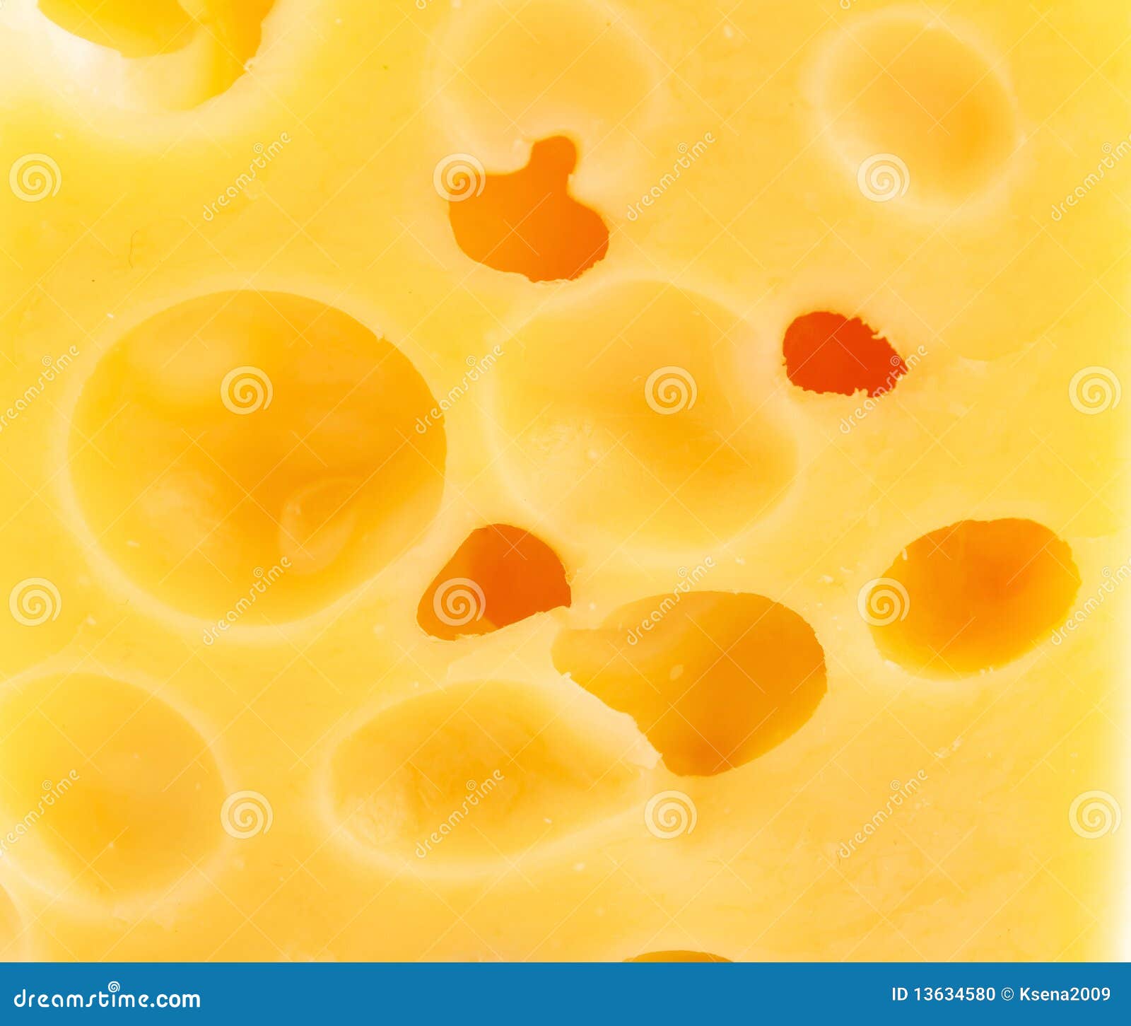 Swiss cheese stock photo. Image of slice, portion, studio - 13634580