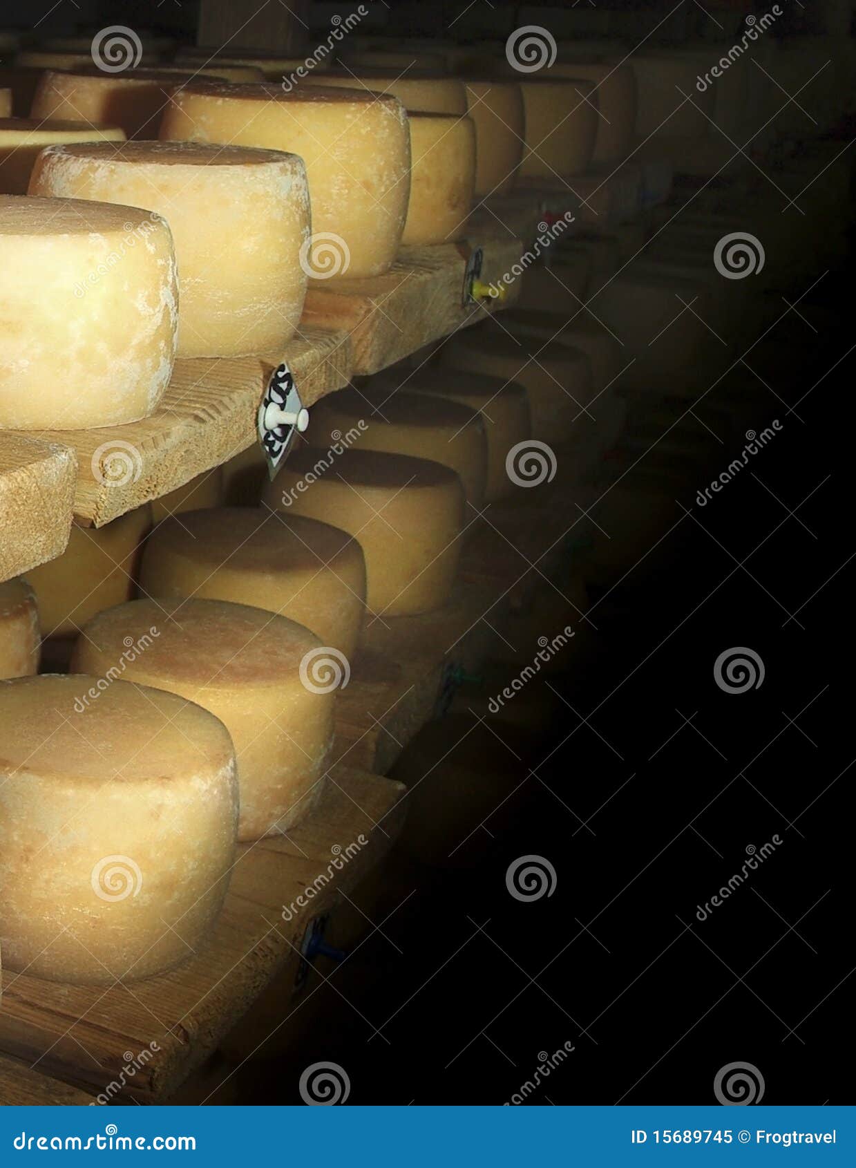 Swiss cheese stock image. Image of farm, cheddar, production - 15689745