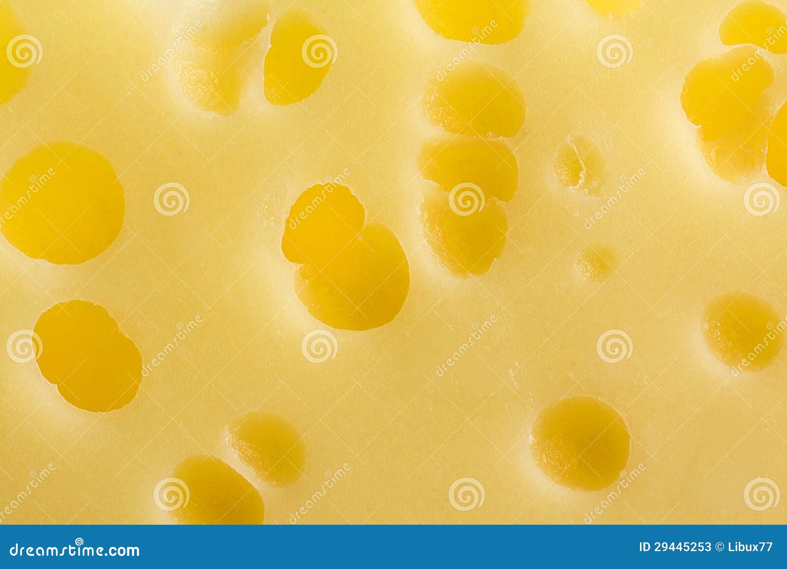 Swiss Cheese Close up stock image. Image of macro, yellow - 29445253