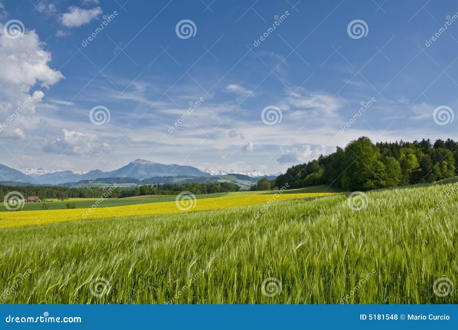 Swiss countryside stock photo. Image of agriculture, clouds - 5181548