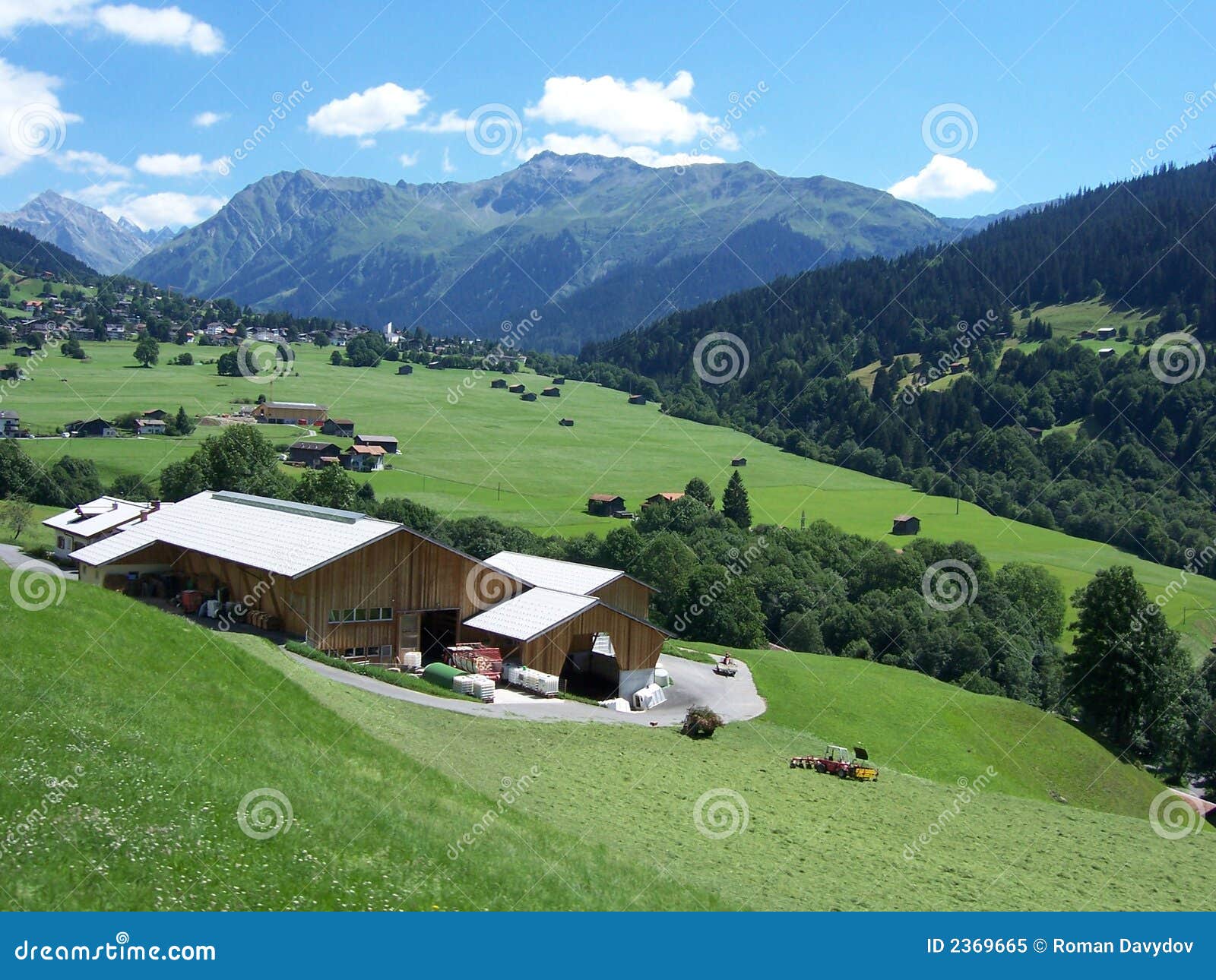 Swiss Farm stock image. Image of cheese, bovine, trees - 2369665