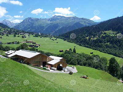Swiss Farm stock image. Image of cheese, bovine, trees - 2369665