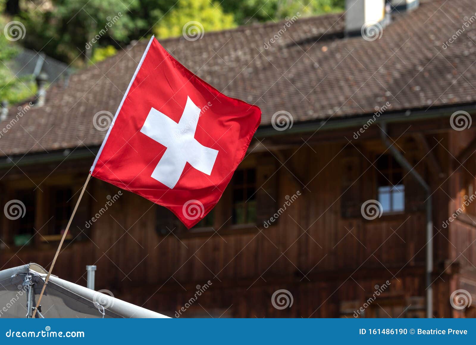 Swiss flag in the wind stock photo. Image of lake, design - 161486190