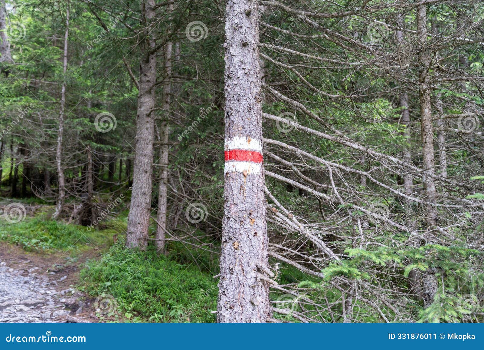 Swiss Hiking Trail Markers Show the Direction of the Trail Stock Image ...