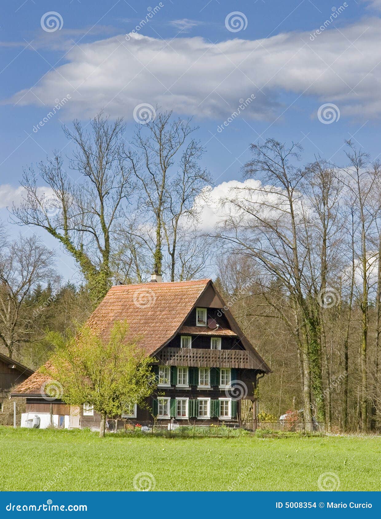Swiss house stock photo. Image of swiss, forest, lonely - 5008354
