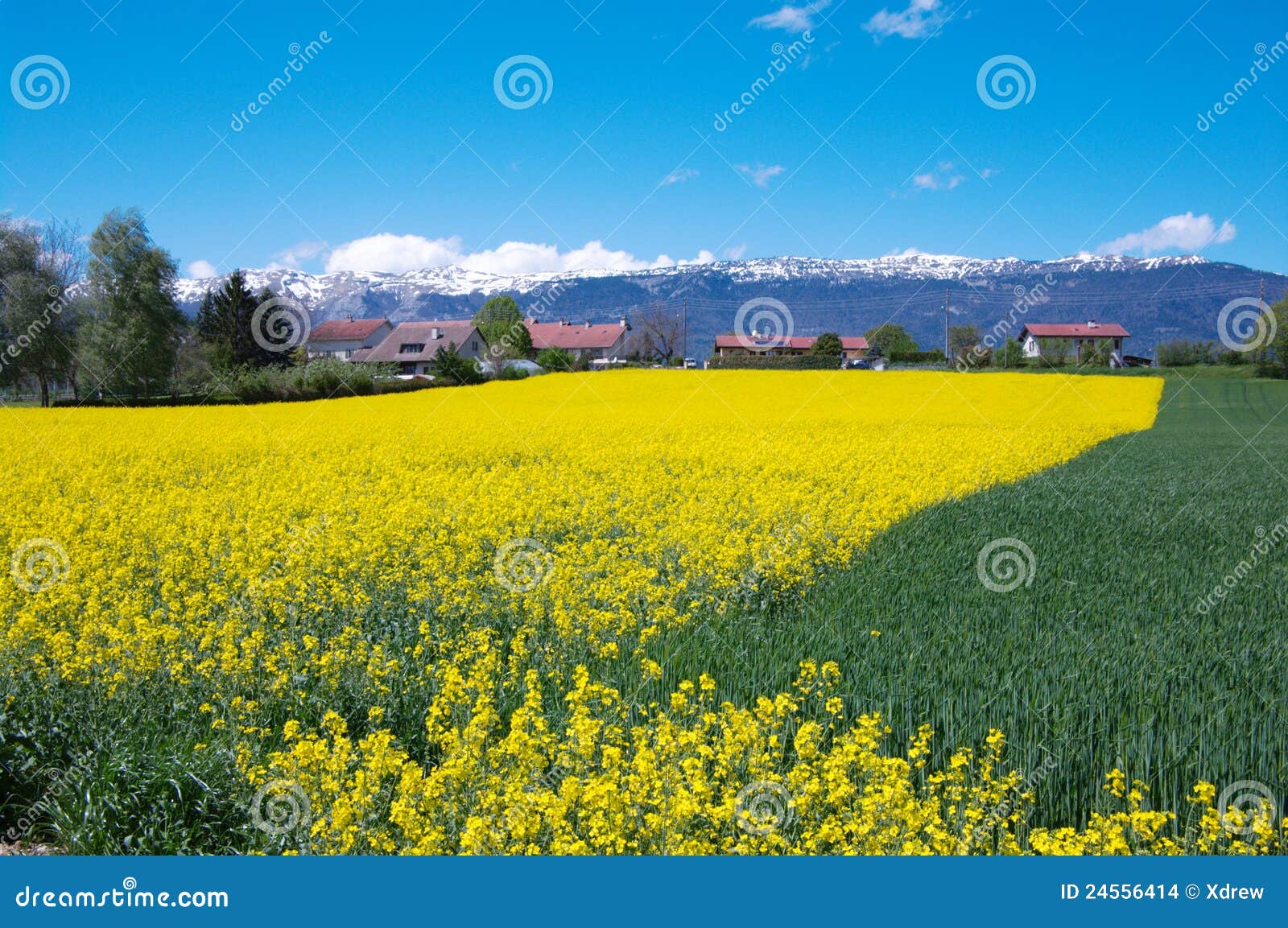Swiss landscape stock photo. Image of scenic, summer - 24556414