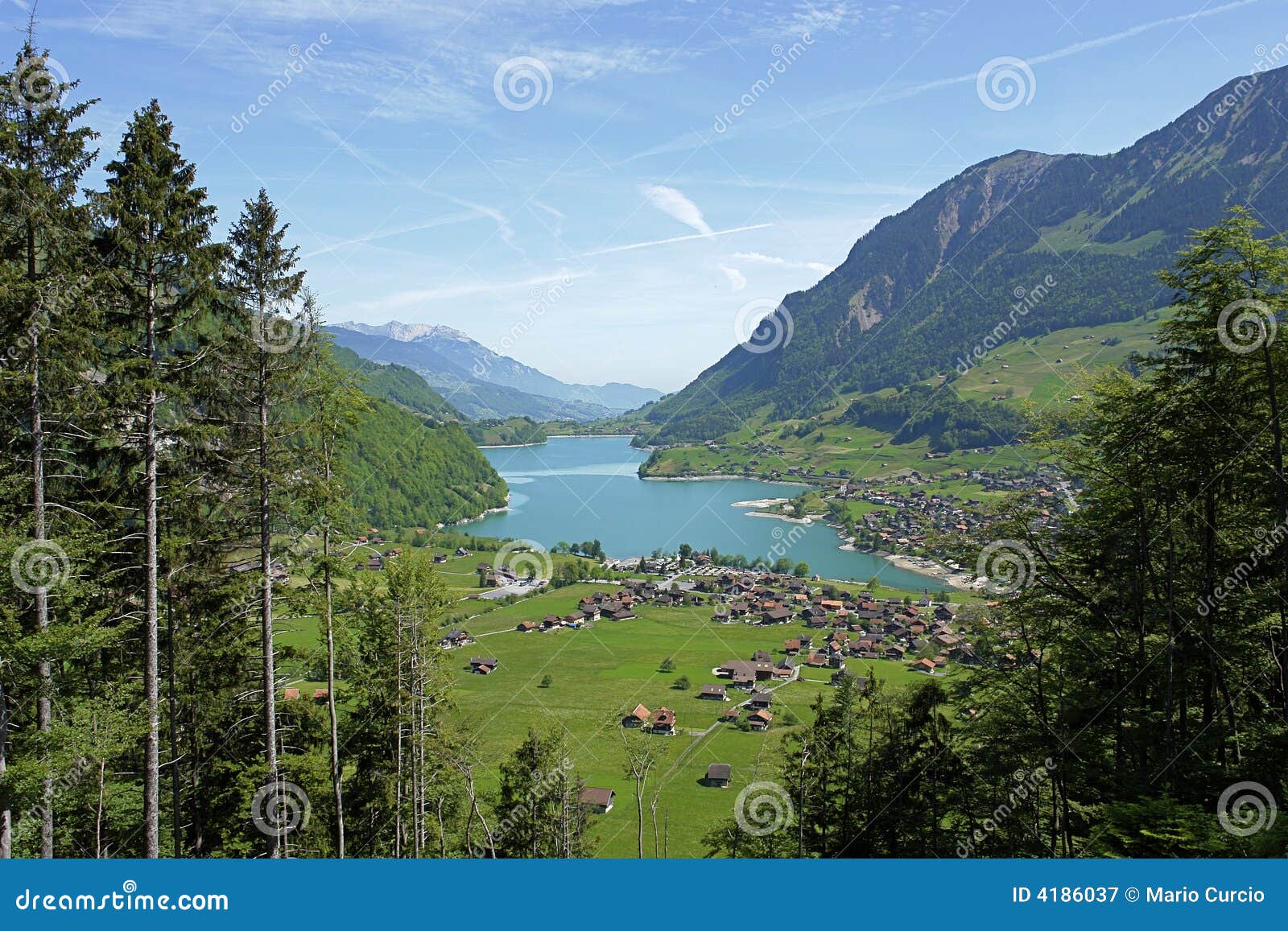 Swiss_landscape stock image. Image of insulation, trees - 4186037