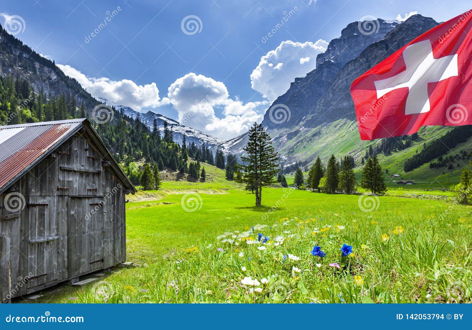 Swiss Landscape in Spring stock photo. Image of beauty - 142053794