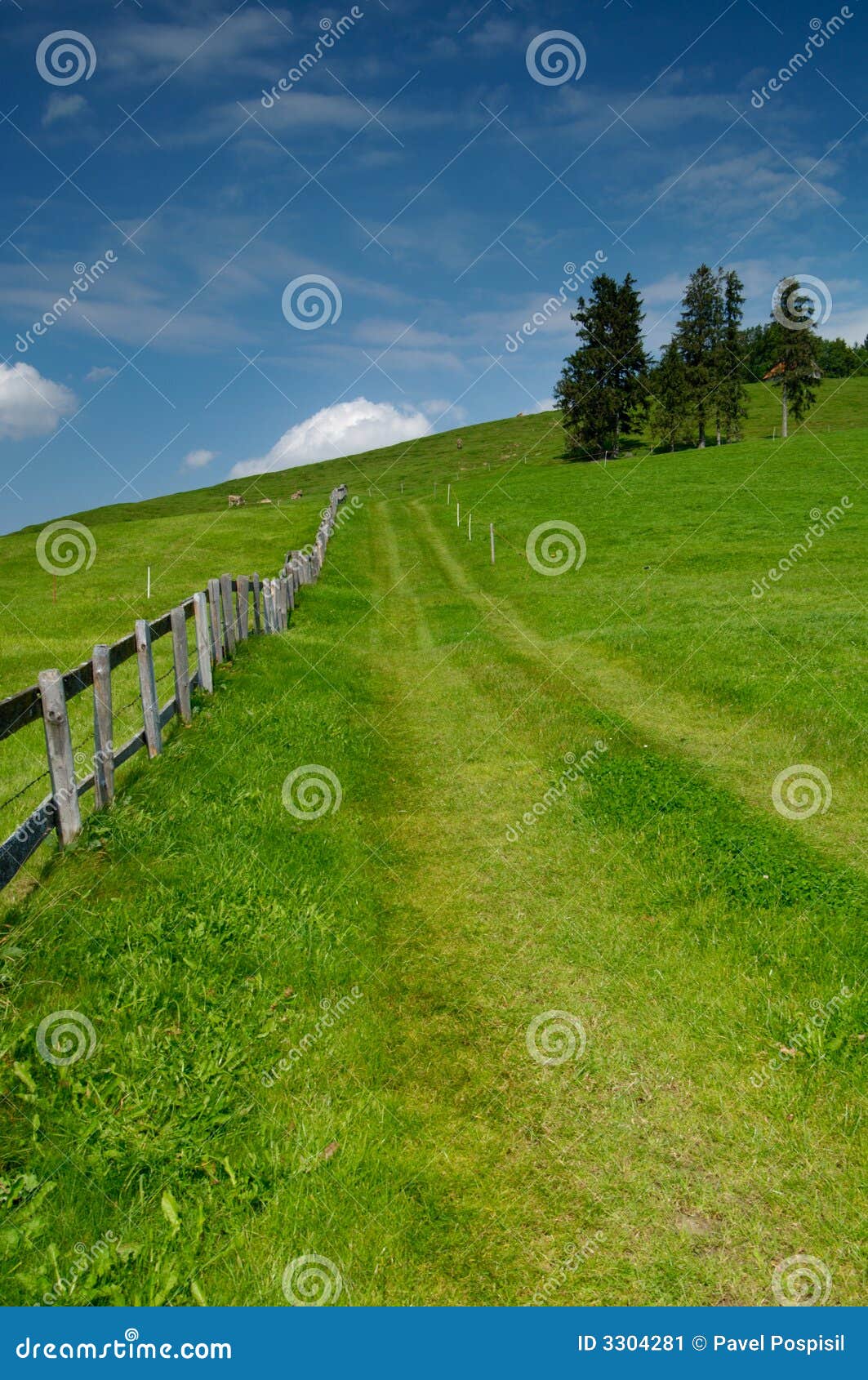 Swiss Meadows stock image. Image of switzerland, serenity - 3304281