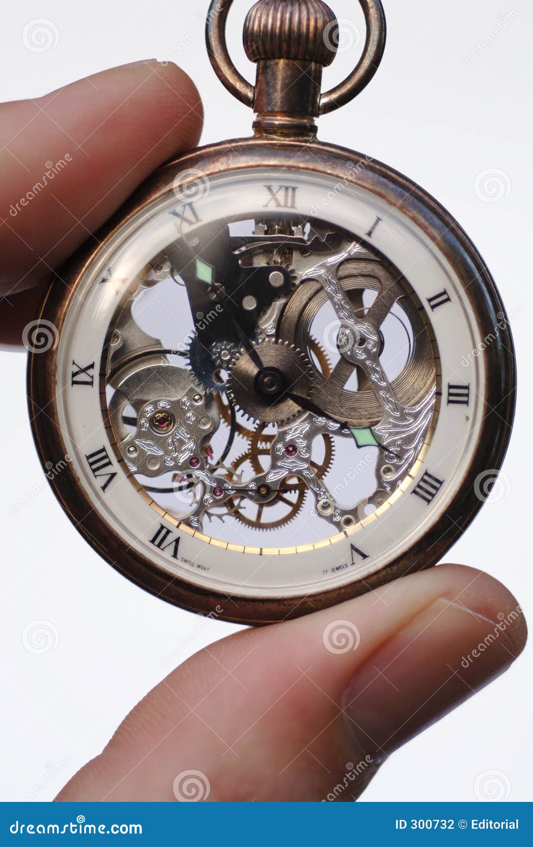 Swiss Pocket Watch stock photo. Image of numerals, gears - 300732