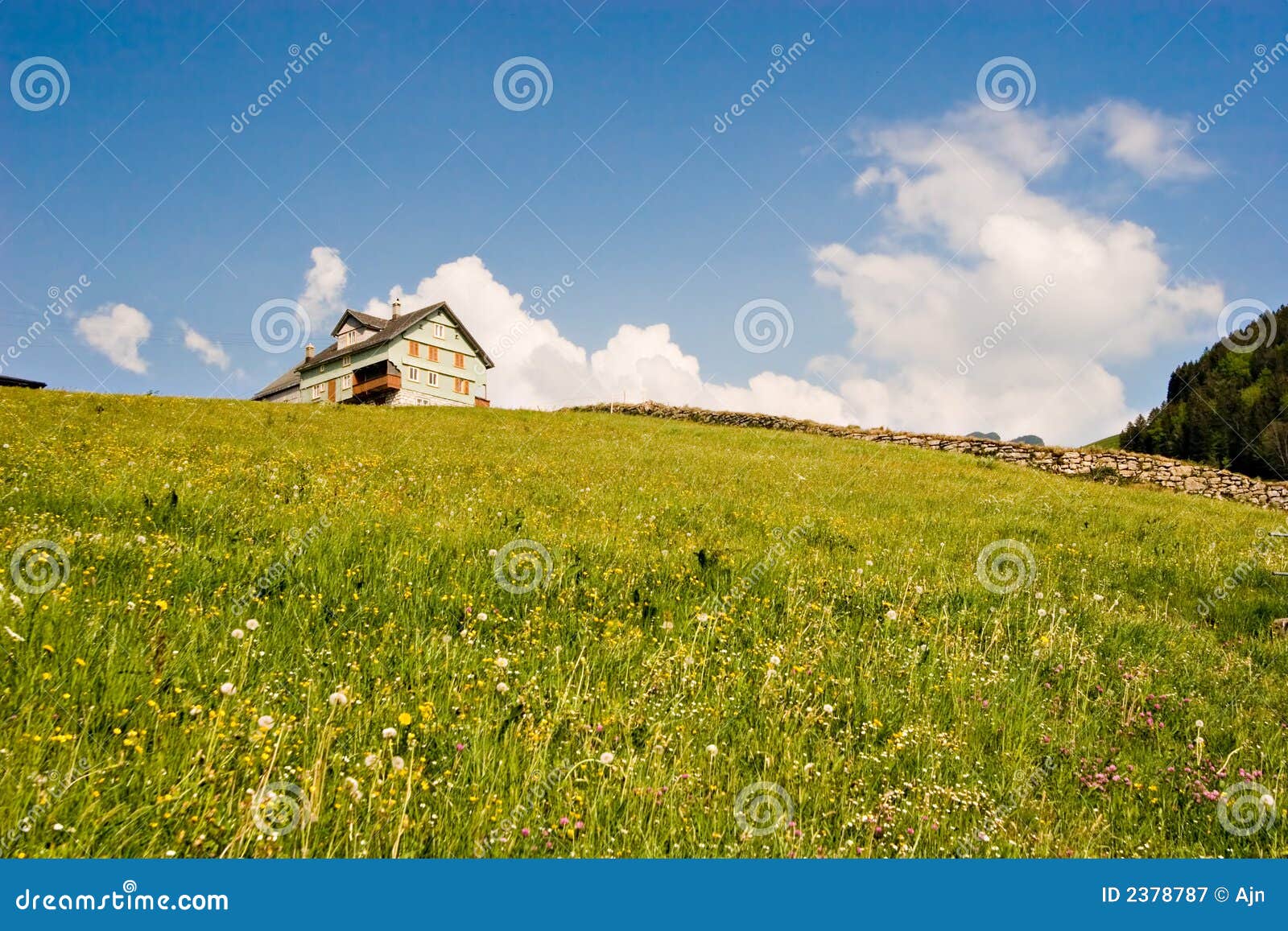 Swiss Prairie stock image. Image of land, blue, lair, nature - 2378787