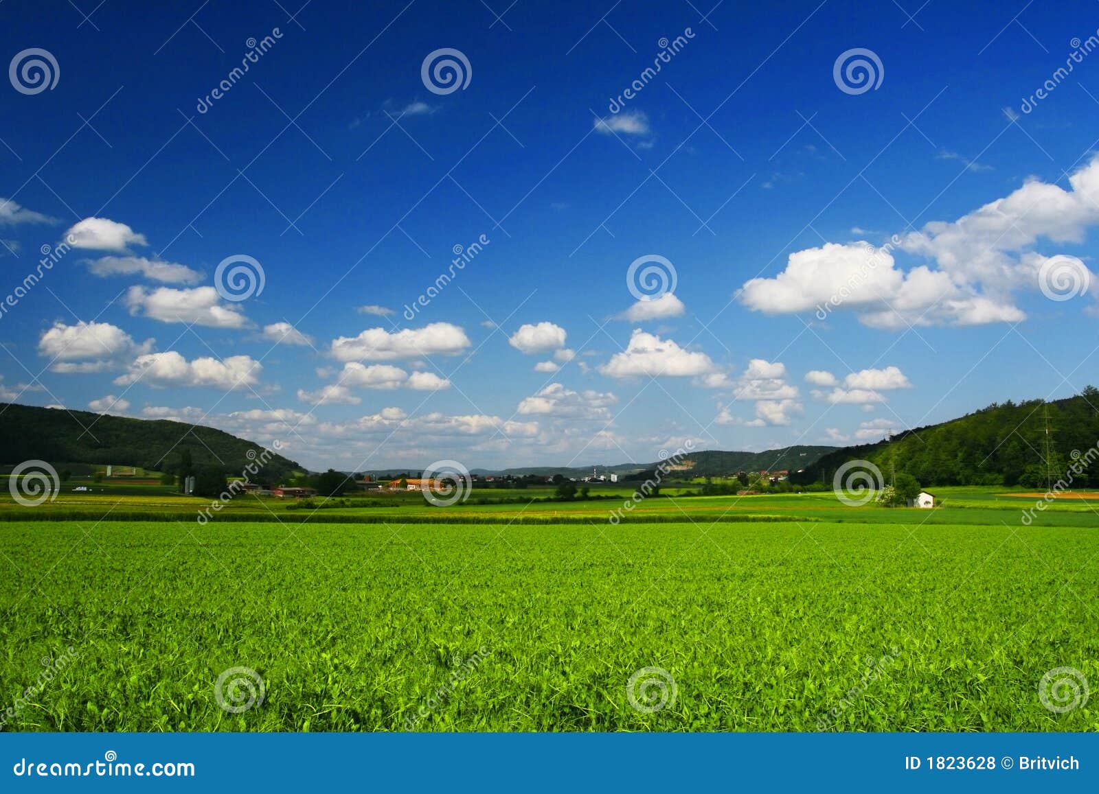 SWISS SUNNY FIELDS, SWITZERLAND Stock Photo - Image of field, color ...