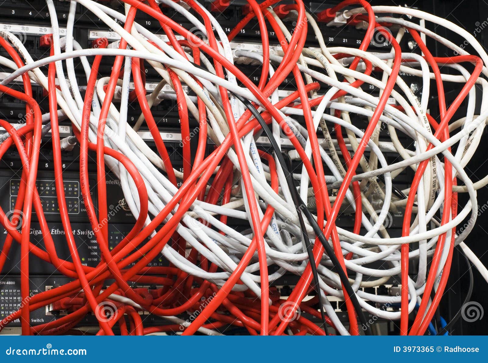 Switch and cables stock image. Image of data, plug, cable - 3973365