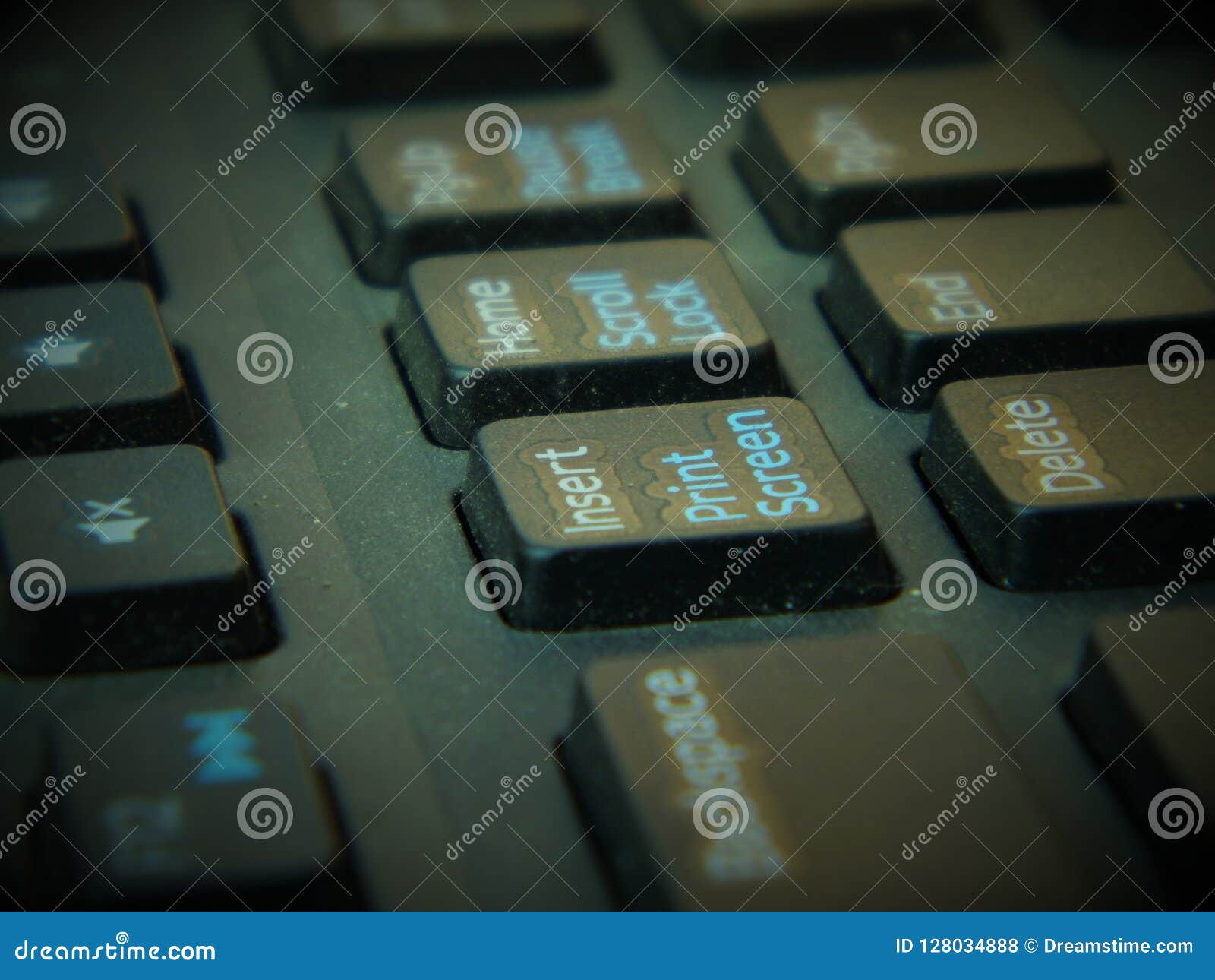 Switch of Computer Keyboard Stock Photo - Image of feather, china ...