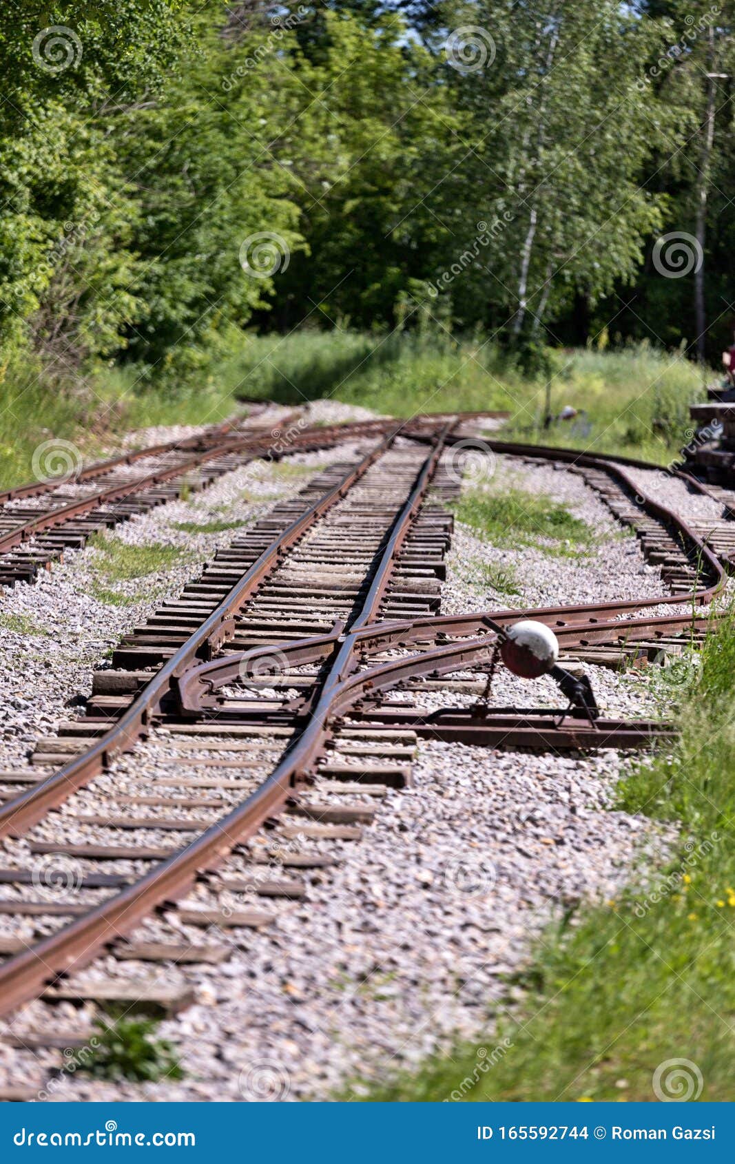 Switch on Narrow-gauge Railway Stock Photo - Image of track, railroad ...