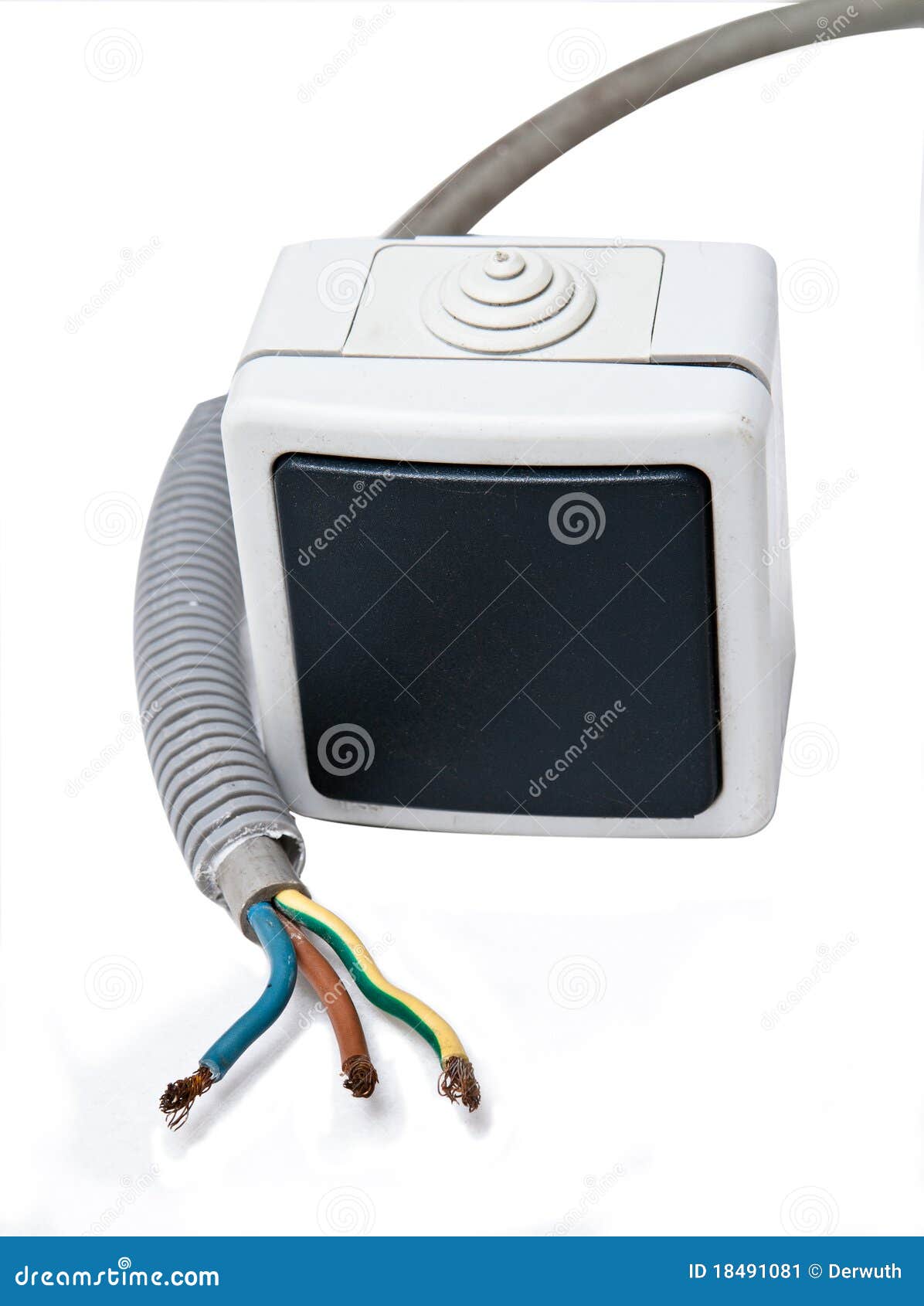 Switch wire and sheath stock image. Image of slipper - 18491081