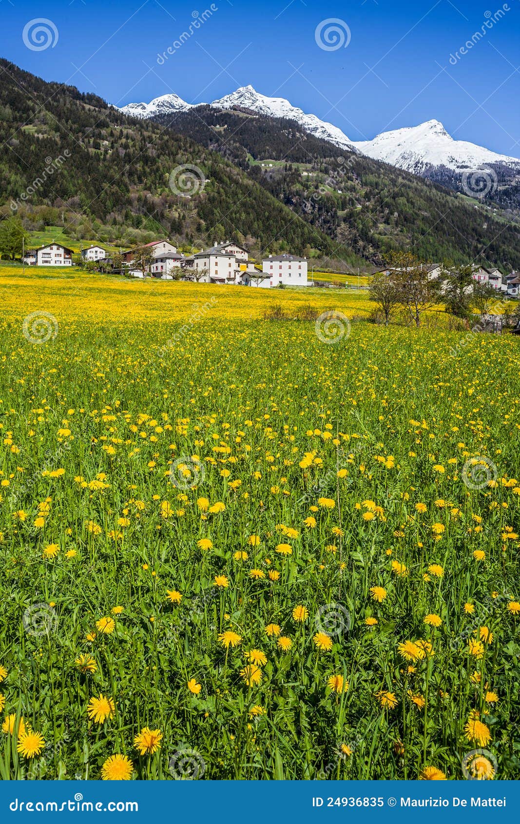 Switzerland Alps in spring stock image. Image of breathtaking - 24936835
