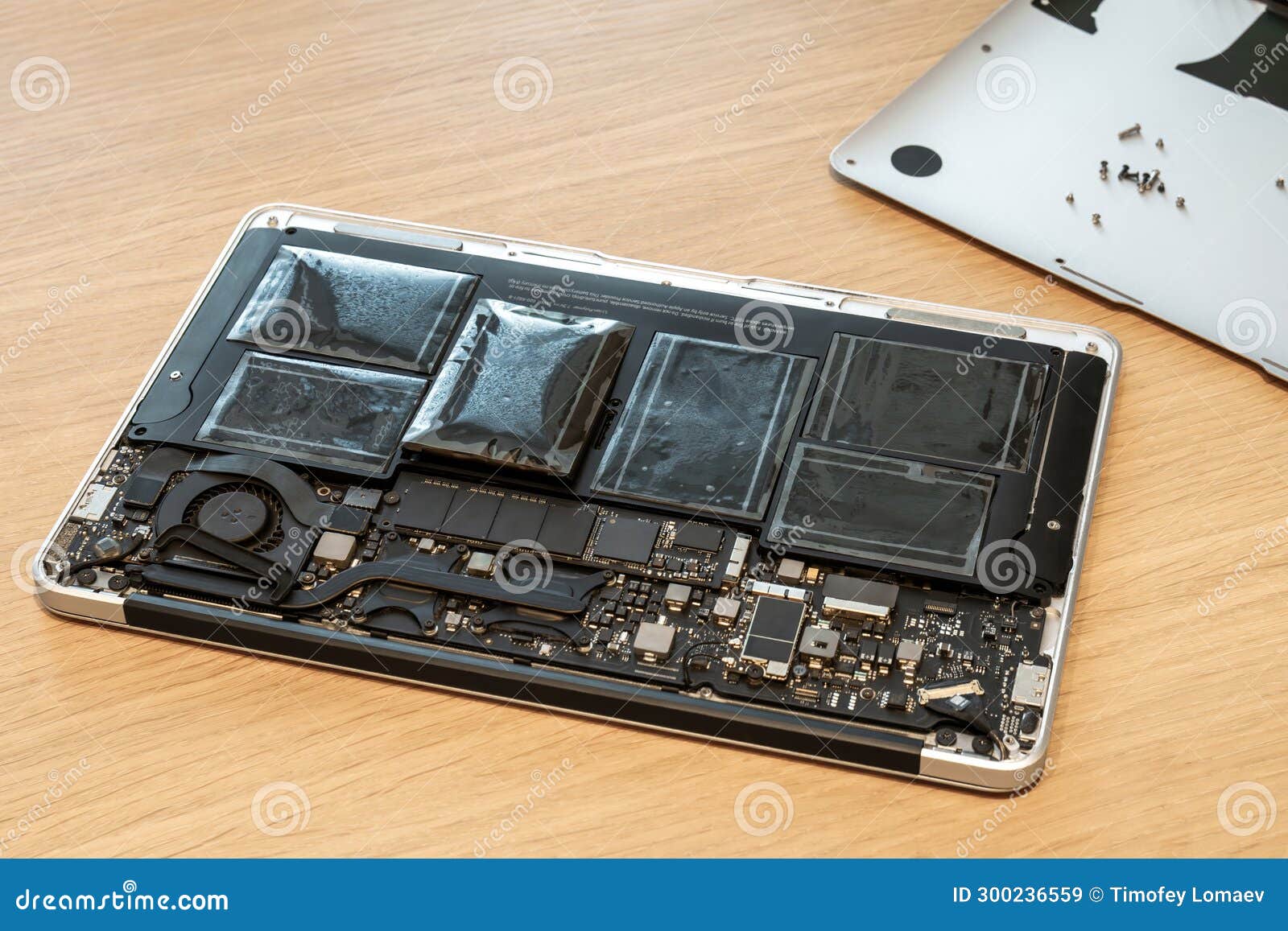 Swollen Battery of Broken Laptop in Open Casing Closeup Stock Image ...