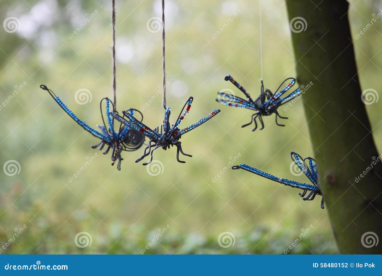 Dragonfly Swooping Dance On The Grass Stock Image | CartoonDealer.com ...