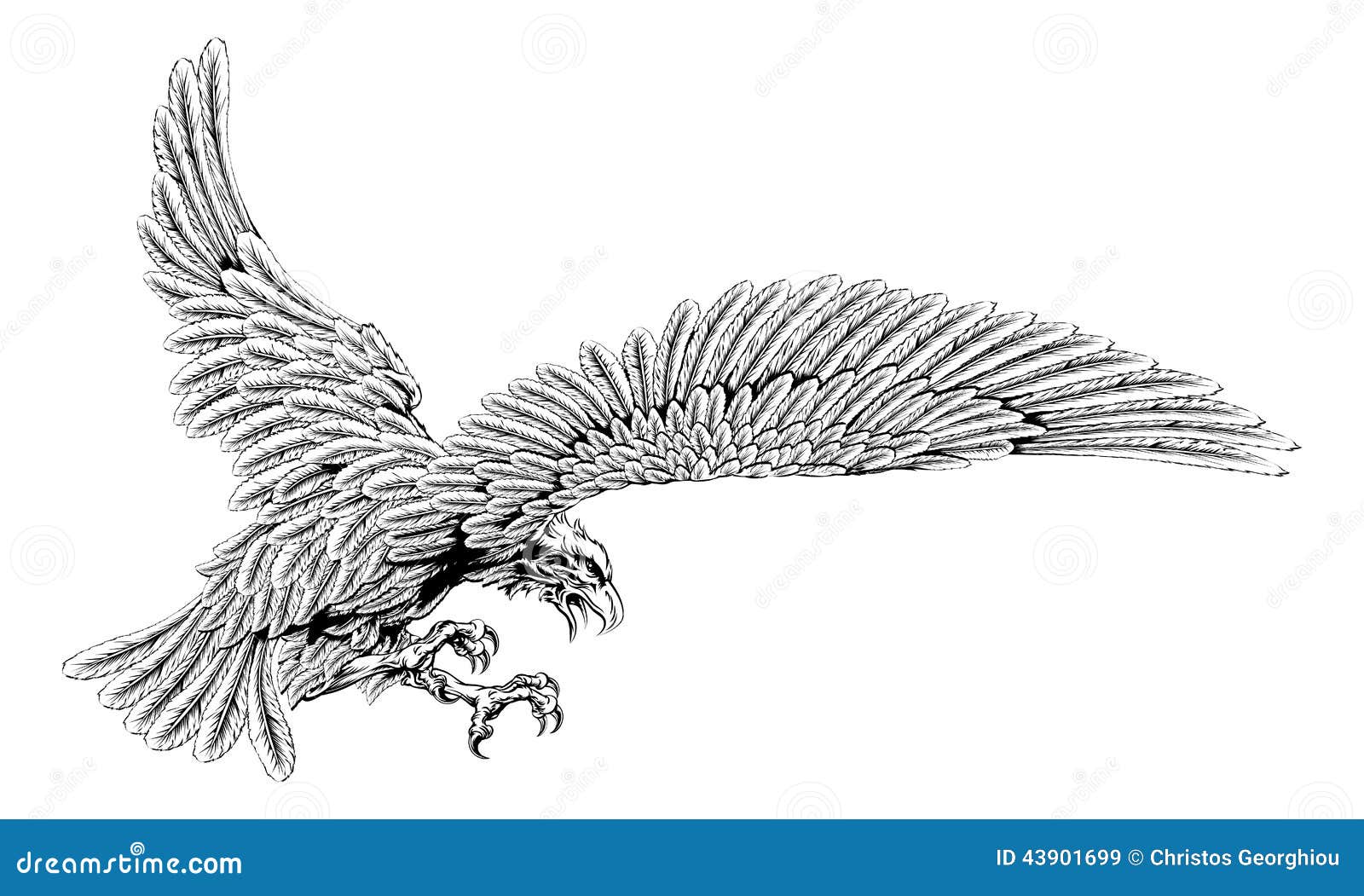 Swooping Eagle Vector Illustration | CartoonDealer.com #89684050