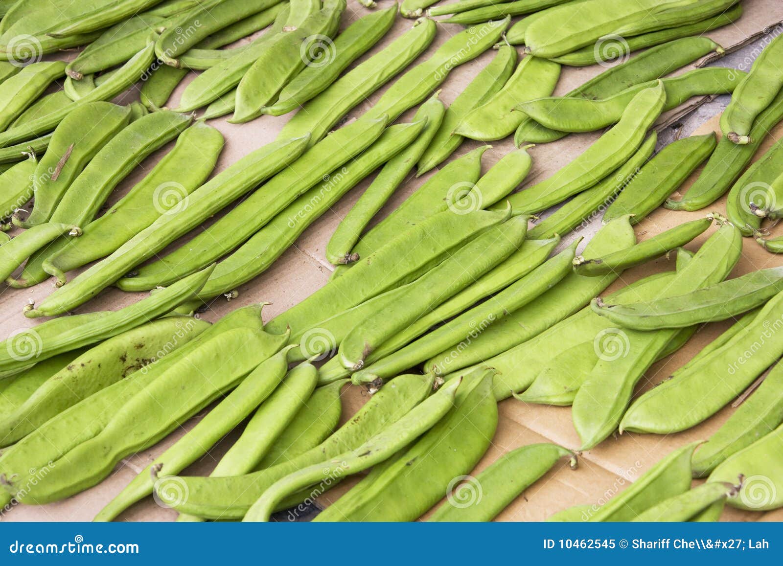 Sword Beans Isolated stock image. Image of china, ingredient - 10462545