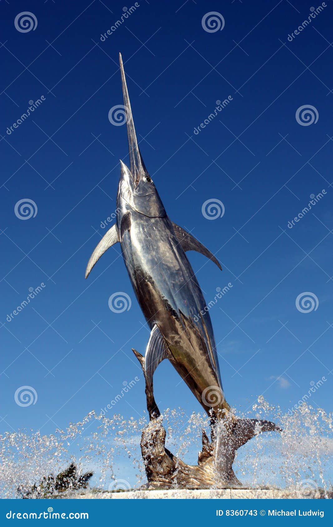 Sword Fish Royalty-Free Stock Photography | CartoonDealer.com #100020005