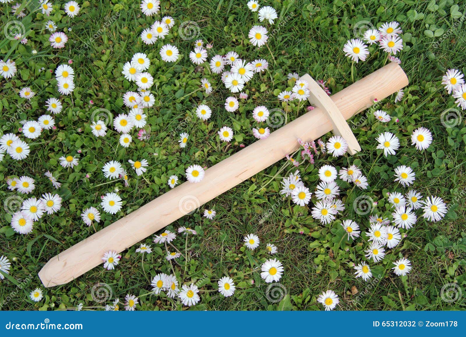 Sword and flowers stock photo. Image of negotiations - 65312032