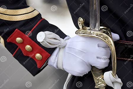 Sword of honour guard stock image. Image of formal, soldier - 6245995