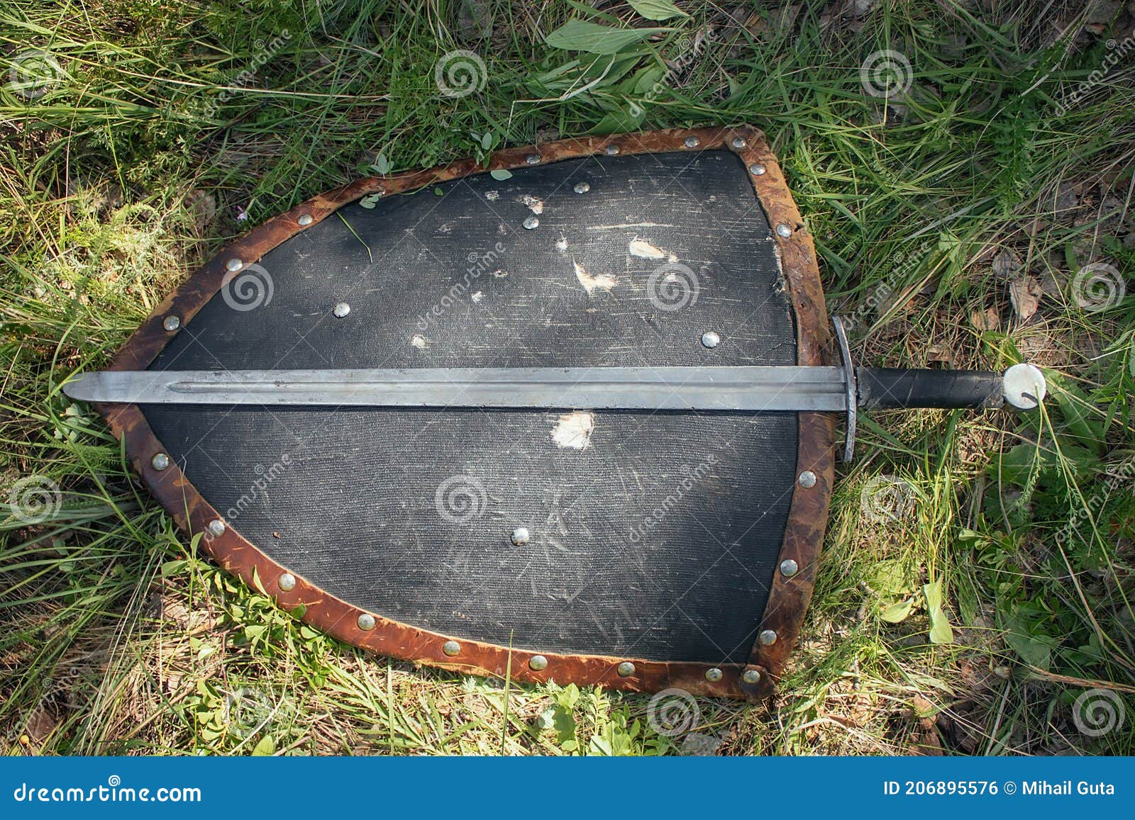 Sword Lying on a Triangular Shield, on the Ground in a Tall Green Grass ...