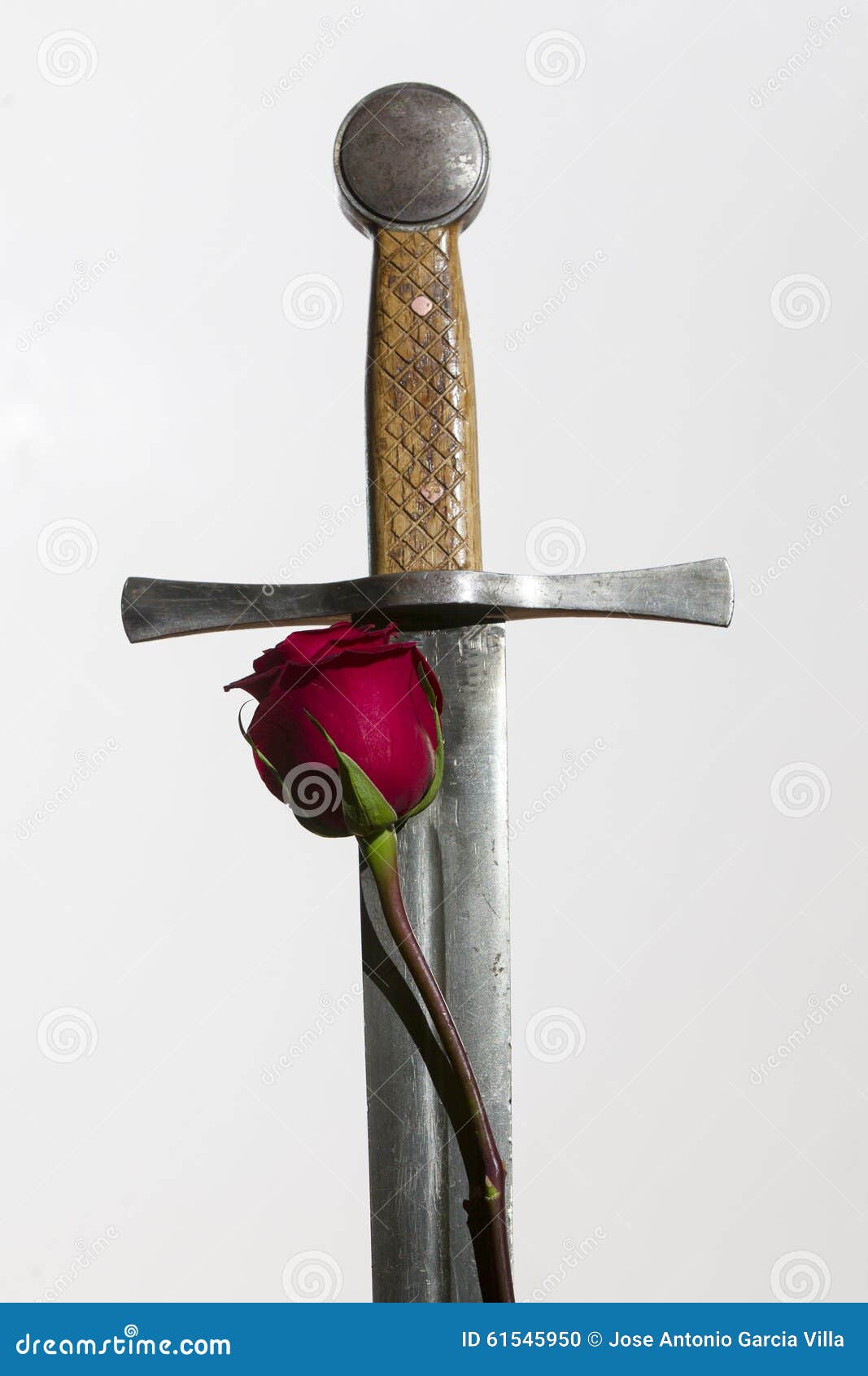 Sword and roses stock photo. Image of isolated, bloom - 61545950
