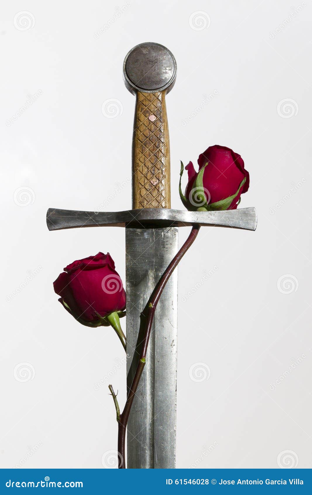 Sword and roses stock photo. Image of petal, nature, embracing - 61546028