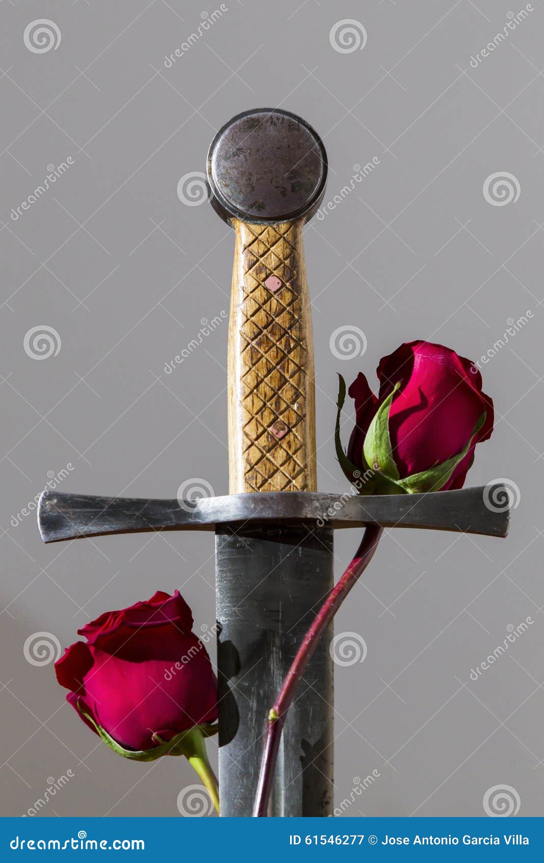 Sword and roses stock image. Image of color, love, duel - 61546277
