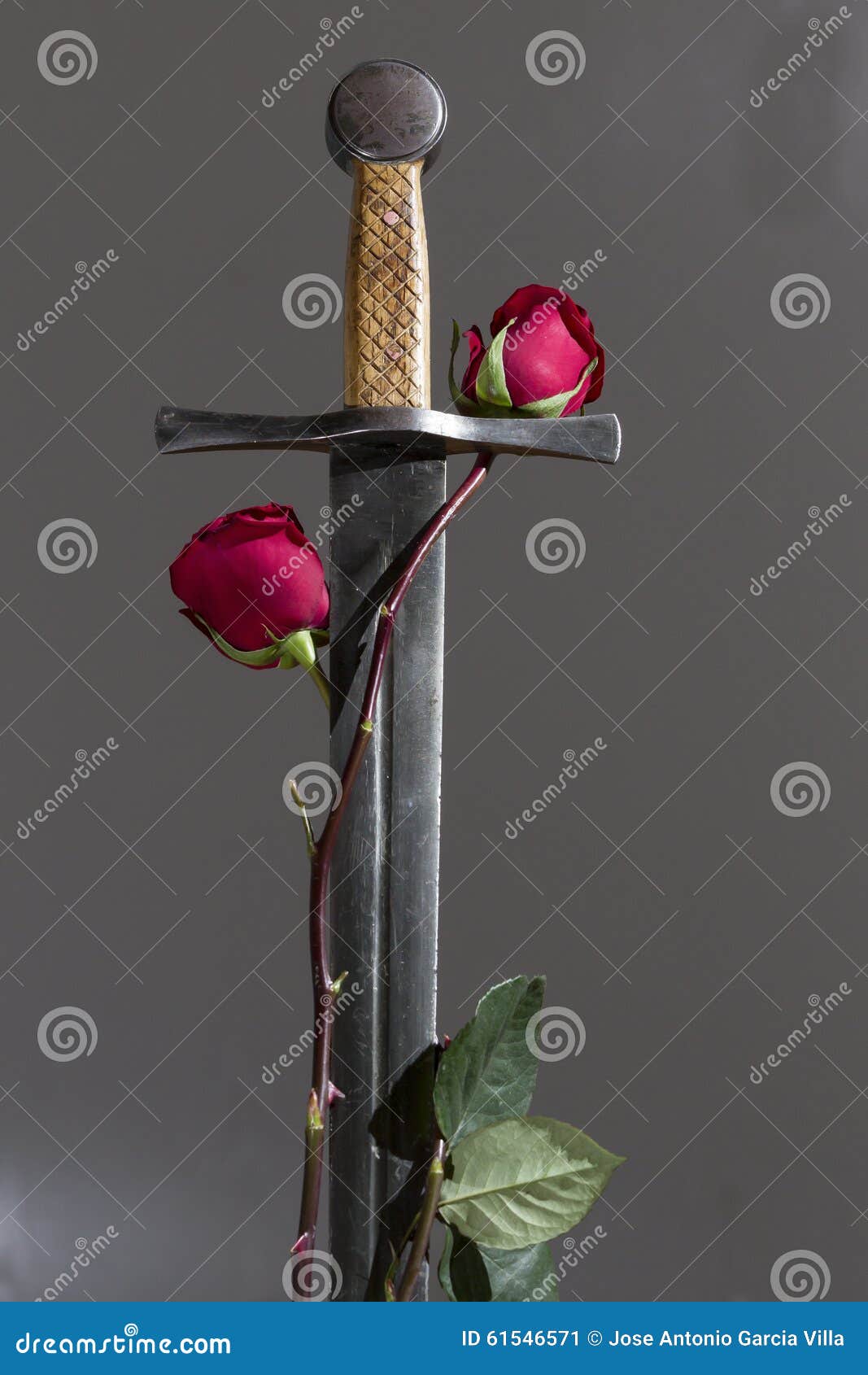 Sword and roses stock image. Image of plant, nature, fresh - 61546571